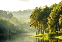 40 citate pozitive pentru ziua de luni - Mezi